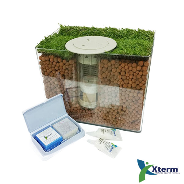 Xterm® - CASA CHEMICAL